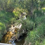 Chacon Creek Hike and Bike Trail, Texas - 151 Reviews, Map | AllTrails