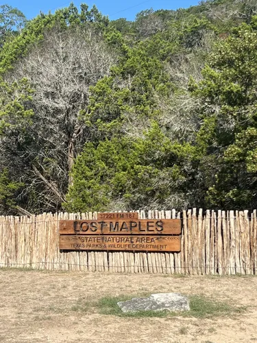Best Hikes and Trails in Lost Maples State Natural Area | AllTrails