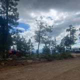 Cabin Loop Trail, Arizona - 250 Reviews, Map | AllTrails