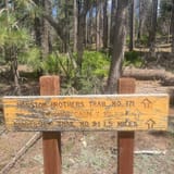 Cabin Loop Trail, Arizona - 250 Reviews, Map | AllTrails