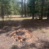 Cabin Loop Trail, Arizona - 250 Reviews, Map | AllTrails