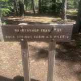 Cabin Loop Trail, Arizona - 250 Reviews, Map | AllTrails