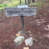 Cabin Loop Trail, Arizona - 250 Reviews, Map | AllTrails