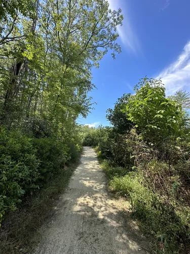 10 Best Hikes and Trails in DuPont State Recreational Forest | AllTrails