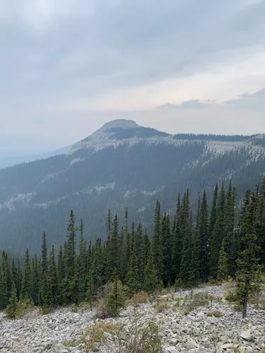 Best Hikes and Trails in Fish Lake Provincial Recreation Area | AllTrails