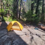 Duckabush River Trail to Five Mile Camp, Washington - 804 Reviews, Map ...
