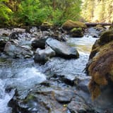 Duckabush River Trail to Five Mile Camp, Washington - 804 Reviews, Map ...