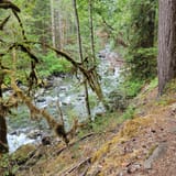 Duckabush River Trail to Five Mile Camp, Washington - 804 Reviews, Map ...