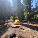 Duckabush River Trail to Five Mile Camp, Washington - 804 Reviews, Map ...