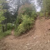 Apgar Lookout, Montana - 1,589 Reviews, Map | AllTrails