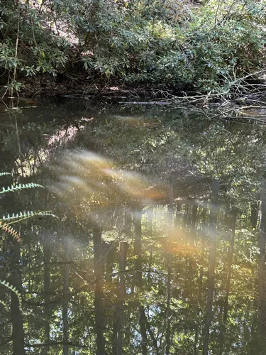 2023 Best Views Trails in Hunt Valley | AllTrails