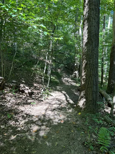 2023 Best Views Trails in Hunt Valley | AllTrails