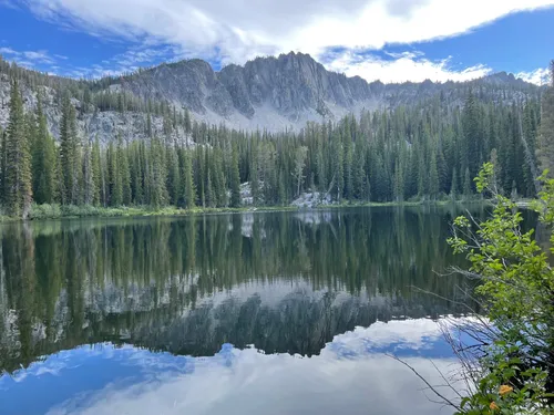 Best Fishing Trails in Atlanta | AllTrails