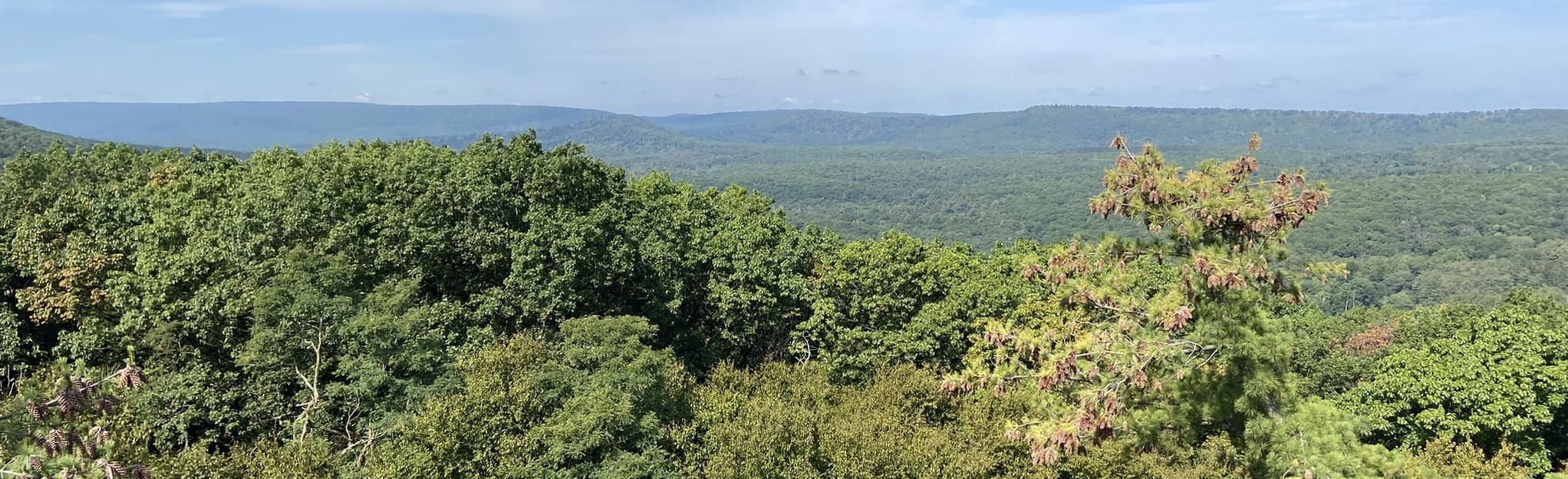 Appalachian, Pole Steeple, and Piney Mountain Ridge Trail via Route 34: ...