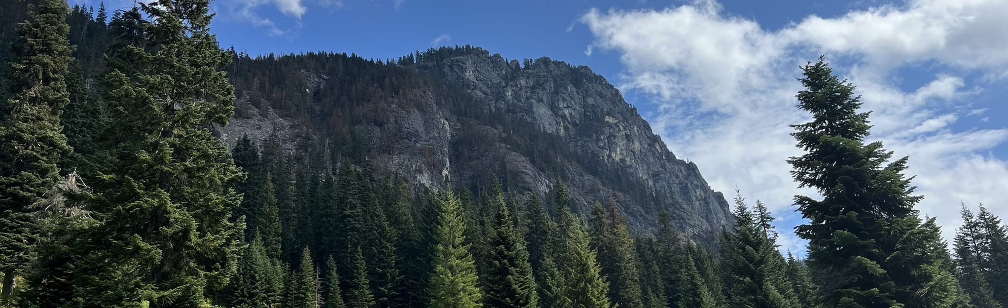 Guye Peak Trail: 386 Reviews, Map - Washington | AllTrails