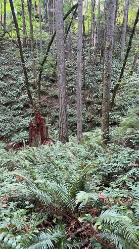 Best Hikes and Trails in Hershire Woods | AllTrails