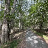Compass Harbor Trail, Maine - 625 Reviews, Map | AllTrails