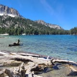 McLeod Lake Trail, California - 828 Reviews, Map | AllTrails
