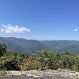 Three Ridges Trail, Virginia - 904 Reviews, Map | AllTrails