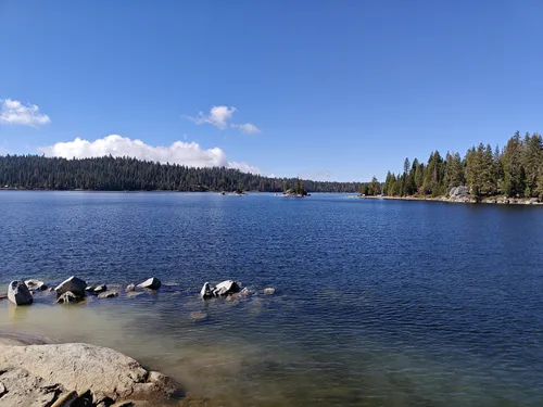 2023 Best Mountain Biking Trails in Shaver Lake | AllTrails