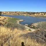 Hensley Lake Day Use Areas Trail, California - 395 Reviews, Map | AllTrails