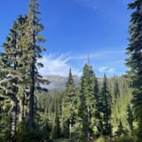 Mount Albert Edward, British Columbia, Canada - 550 Reviews, Map ...