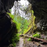 Robe Canyon Historic Trail, Washington - 893 Reviews, Map | AllTrails
