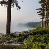 Sand Point Trail, Washington - 320 Reviews, Map | AllTrails