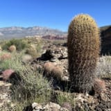 Fossil Ridge Loop, Nevada - 702 Reviews, Map | AllTrails