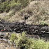 Tapo Canyon Trail, California - 1,377 Reviews, Map | AllTrails