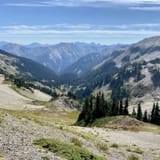 Elk Mountain Trail Loop, Washington - 172 Reviews, Map | AllTrails