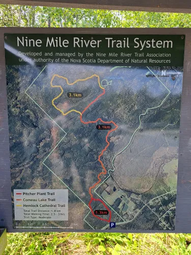 2023 Best Forest Trails in Nine Mile River | AllTrails