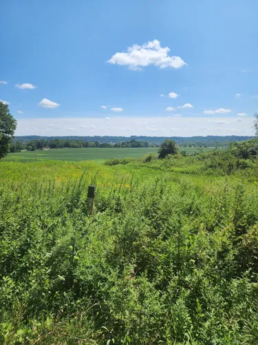 Best Hikes and Trails in Exton Park | AllTrails