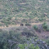 Soledad Canyon Loop, New Mexico - 1,176 Reviews, Map | AllTrails