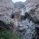 Soledad Canyon Loop, New Mexico - 1,176 Reviews, Map | AllTrails