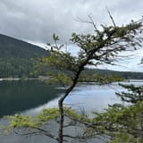 Cascade Lake Trail, Washington - 697 Reviews, Map | AllTrails