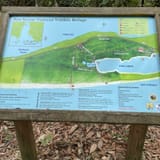 Pine Beach Trail, Alabama - 449 Reviews, Map | AllTrails