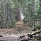 Franconia Brook Trail, New Hampshire - 323 Reviews, Map | AllTrails