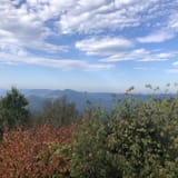 Kennedy Peak Loop, Virginia - 546 Reviews, Map | AllTrails