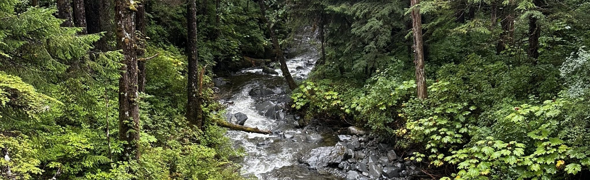 Sitka Cross Trail: Cascade Creek to Kramer Trailhead, Alaska - 13 ...