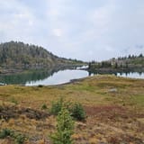 Sunshine Meadows, Alberta, Canada - 214 Reviews, Map | AllTrails