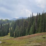 Sunshine Meadows, Alberta, Canada - 214 Reviews, Map | AllTrails