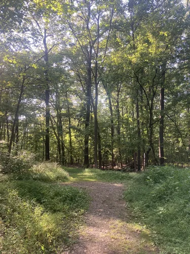 Best Hikes and Trails in Boyd Big Tree Preserve Conservation Area ...