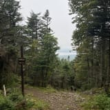 Magalloway Mountain, New Hampshire - 441 Reviews, Map | AllTrails