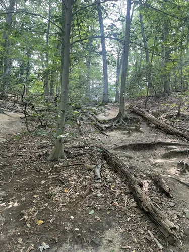 Best Hikes and Trails in Cold Spring Harbor State Park | AllTrails