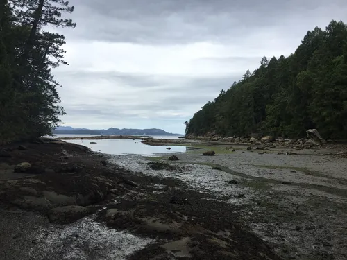 Best Hikes and Trails in Descanso Bay Regional Park | AllTrails