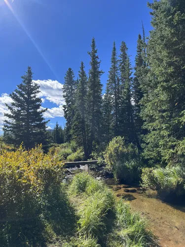 Best Hikes and Trails in Mount Blue Sky State Wildlife Area | AllTrails