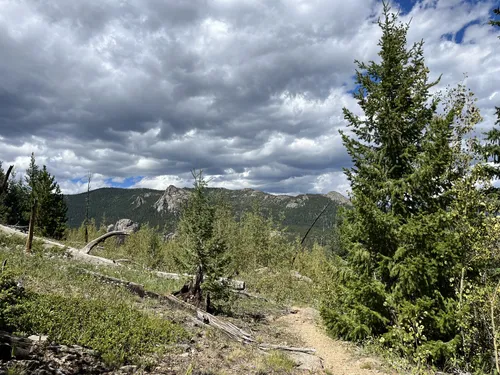 Best Hikes and Trails in Mount Blue Sky State Wildlife Area | AllTrails