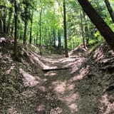 Aman Park Loop, Michigan - 1,217 Reviews, Map | AllTrails