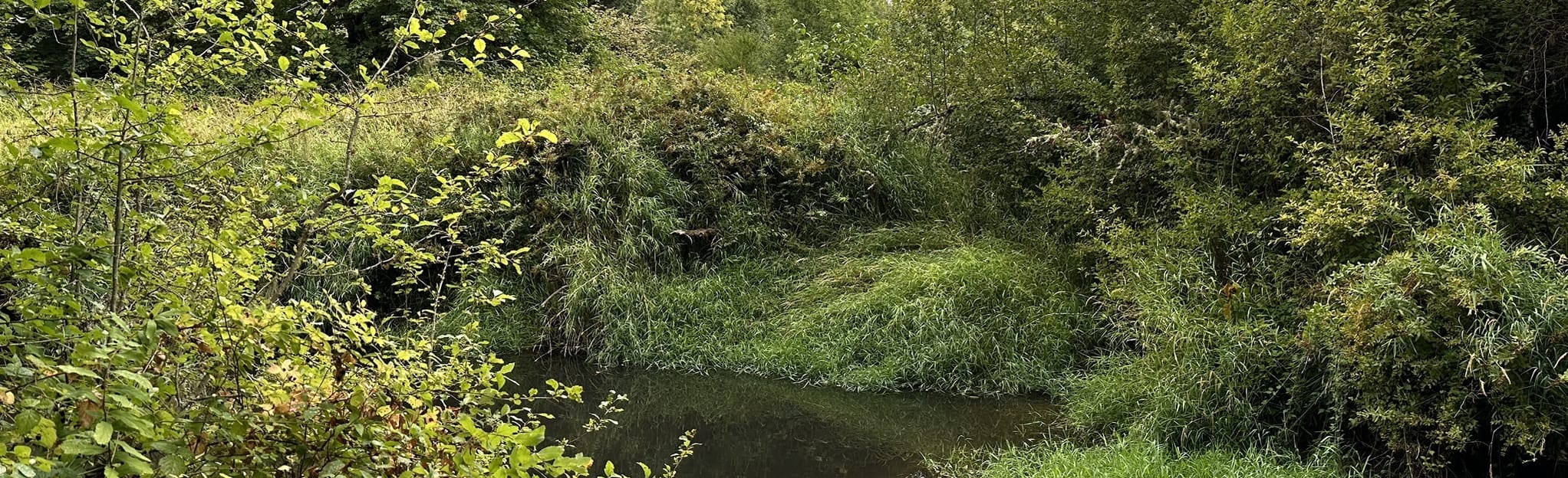 Long Tom River Trail, Oregon - 64 Reviews, Map | AllTrails